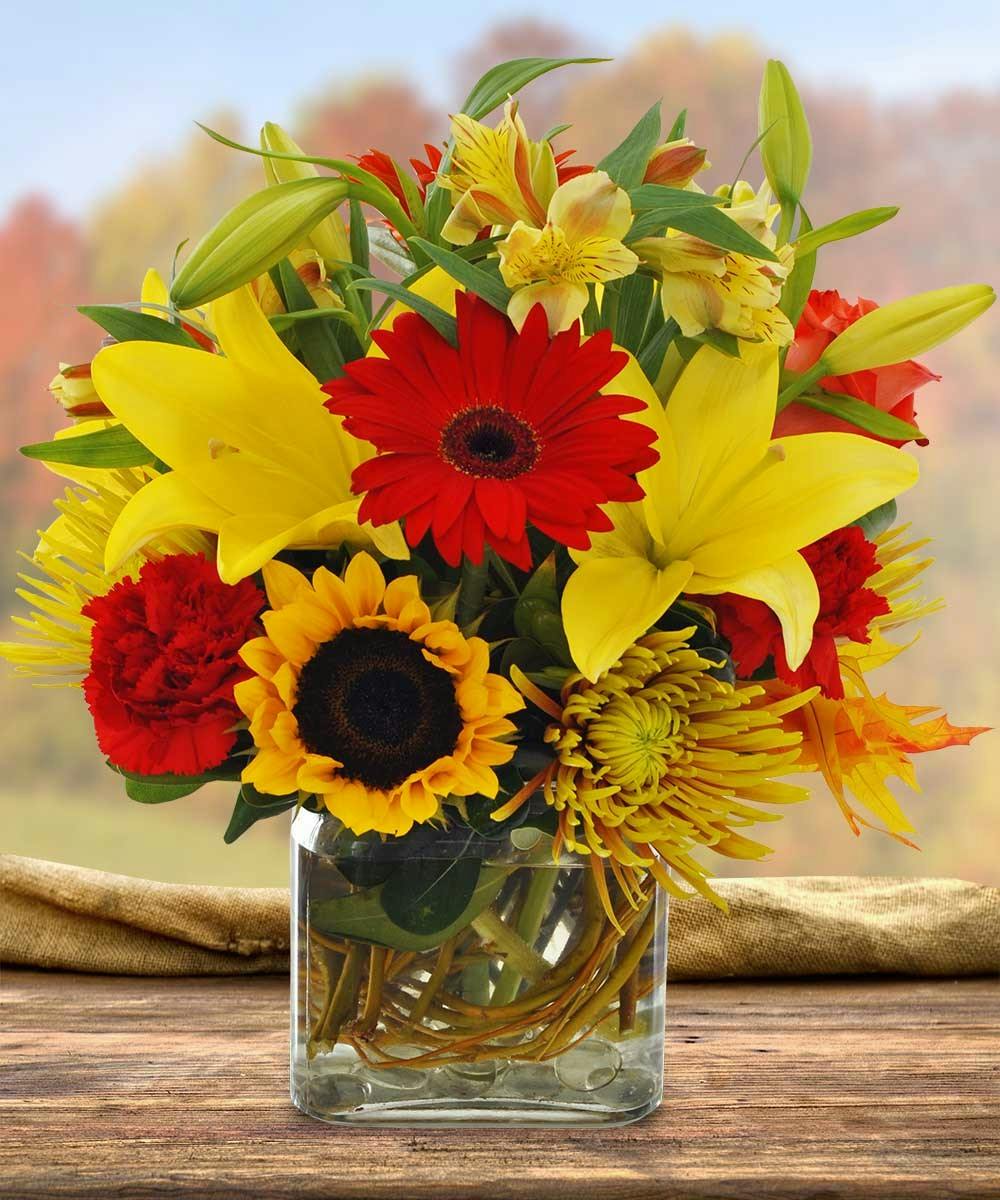 Cheerful Blooms | Wayne (NJ) Same-Day Fall Flowers | Bosland's Flower Shop