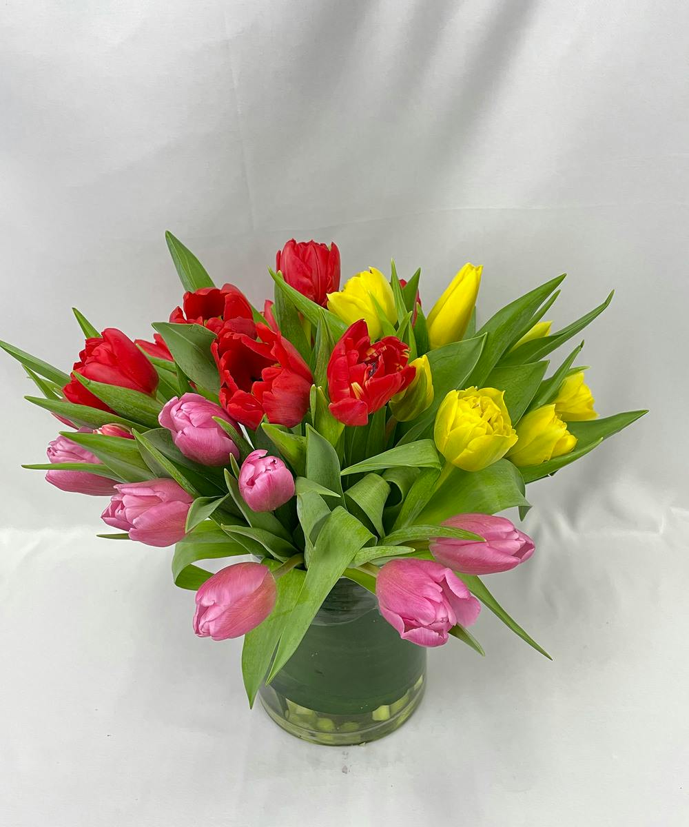 TULIP CAROUSEL | Wayne (NJ) Same-Day Flower Delivery | Bosland's Flower ...